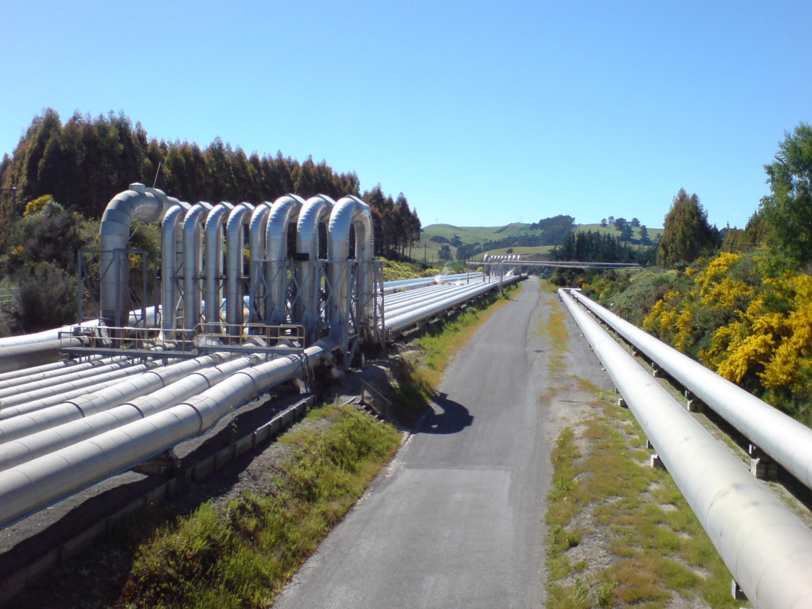 Steam_Pipelines_Near_Taupo_NZ | PiensaGeotermia - Noticias de energía ...