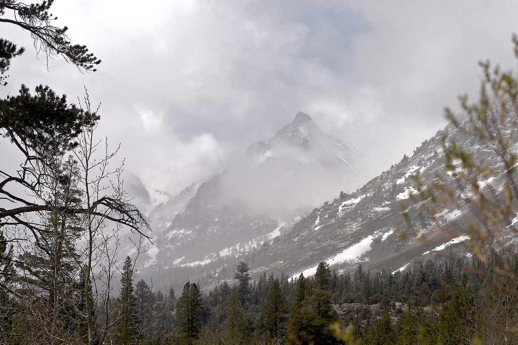 Humboldt-Toiyabe_national_forest_US | PiensaGeotermia - Noticias de ...